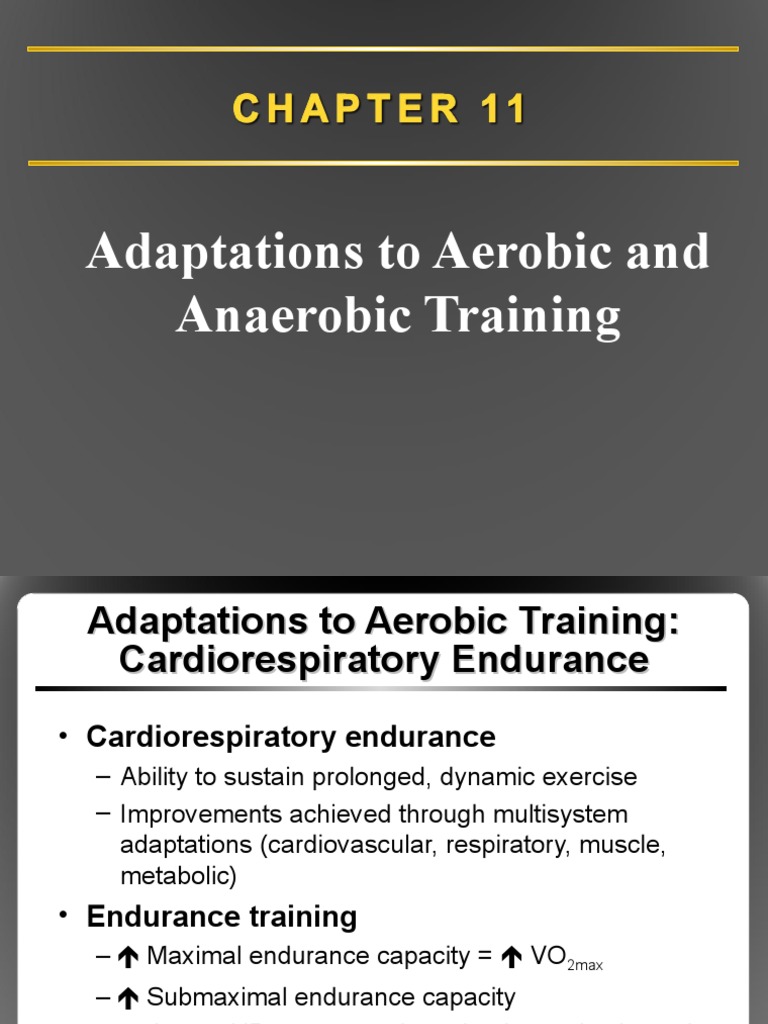 Chapter 11 Adaptations To Aeribic and Anaerobic Training | PDF | Skeletal Muscle | Blood Pressure
