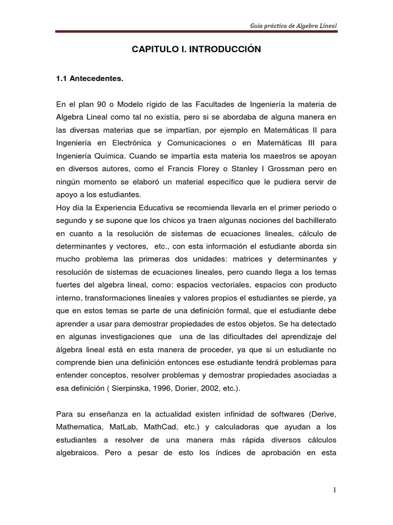 Capitulo I Introduccion | PDF | Determinante | Matriz (Matemáticas)