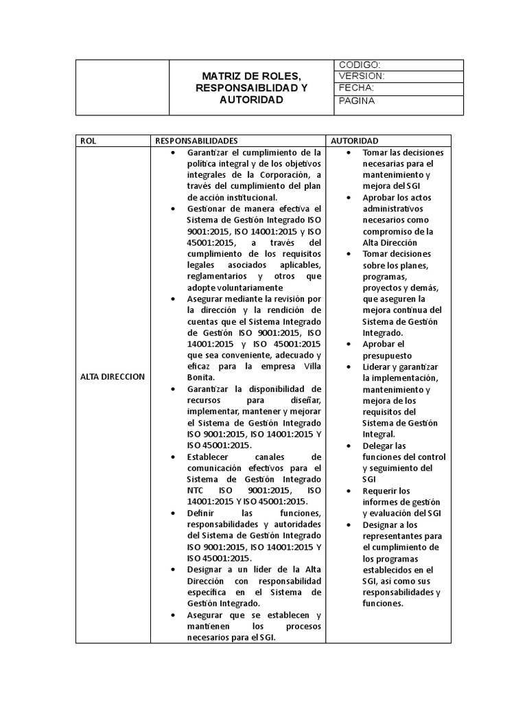 Matriz de Roles, Responsabilidades y Autoridades en La Organización ...