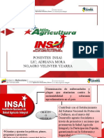 Instrucciones Basicas Del Registro Unico Nacional de Salud Agricola Integral - Runsai | PDF