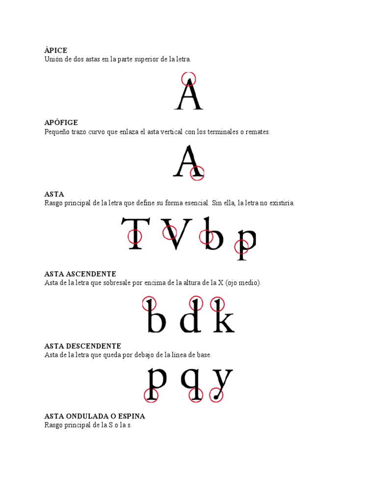Anatomia de La Letra | PDF Anatomia de La Letra | PDF