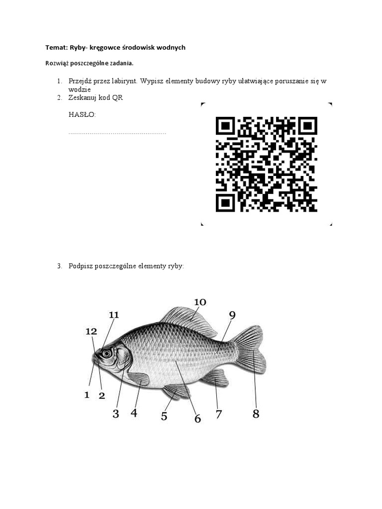 Karta Pracy Ryby Klasa 6 | PDF