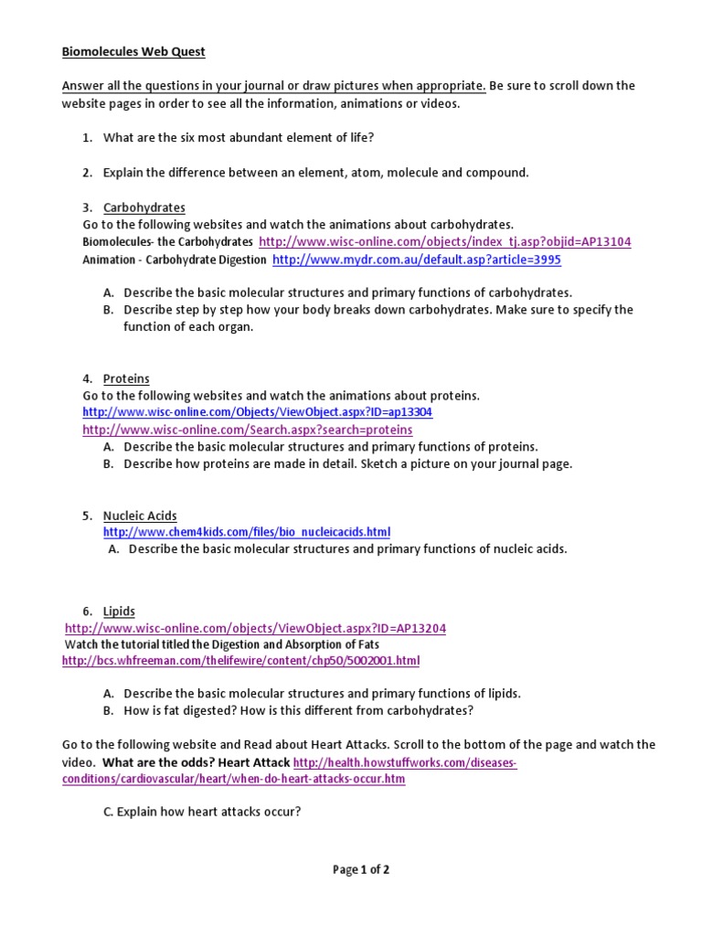 CH 2 HW Biomolecule Webquest | PDF | Molecules | Carbohydrates