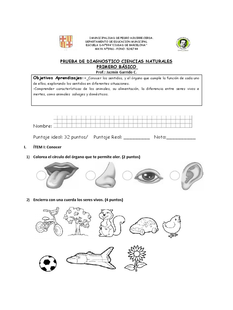 Prueba Diagnóstica Ciencias Naturales 1° Básico | PDF | Relaciones ...