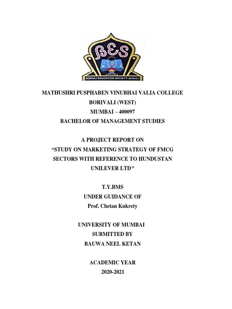HUL Marketing Strategy Analysis | PDF | Digital Marketing | Marketing