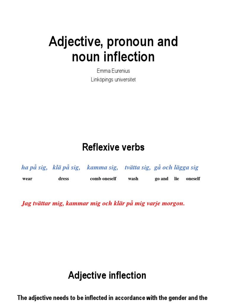 Adjective, Pronoun and Noun Inflection | PDF