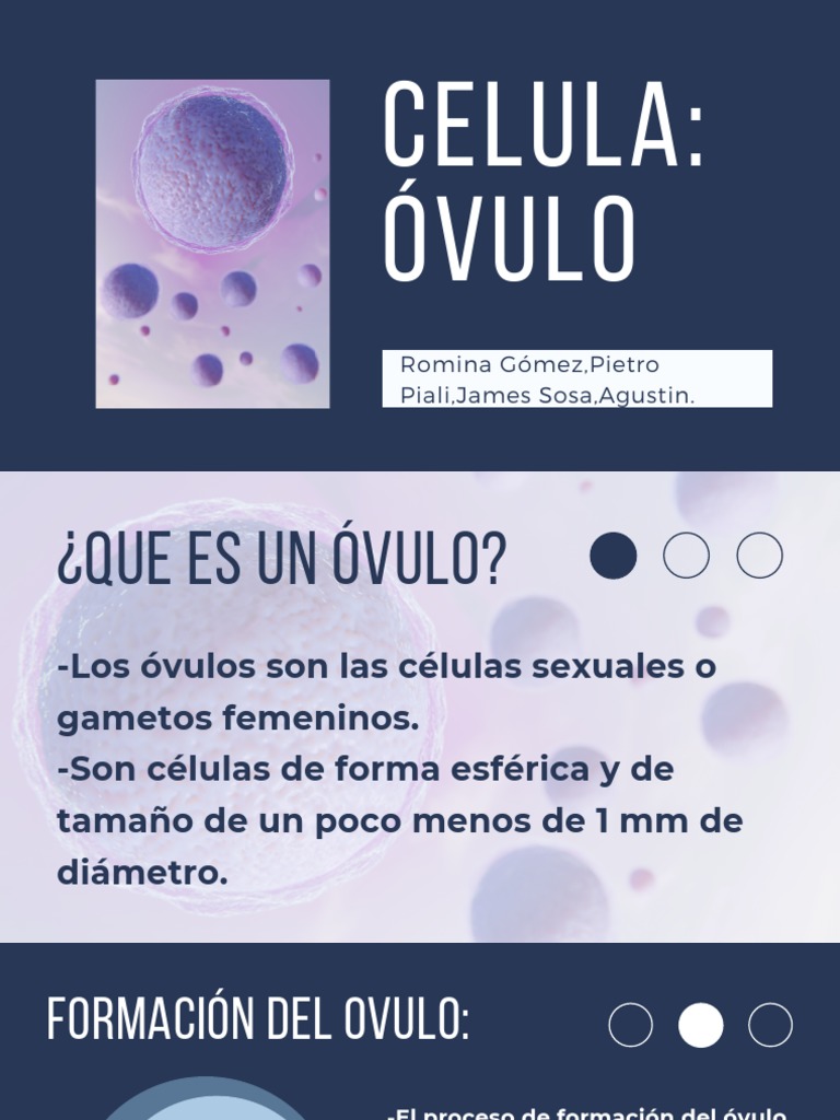 Celula Ovulo | PDF
