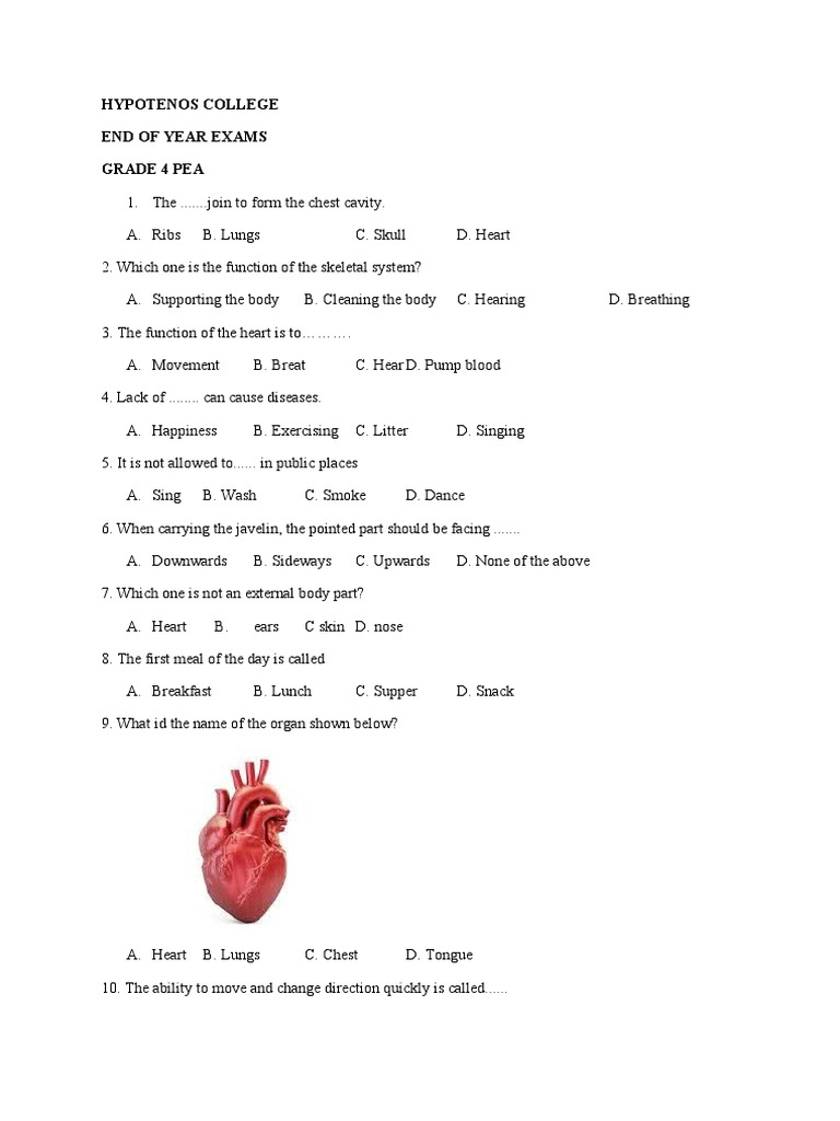 Grade 4 Pea | PDF | Heart | Thorax