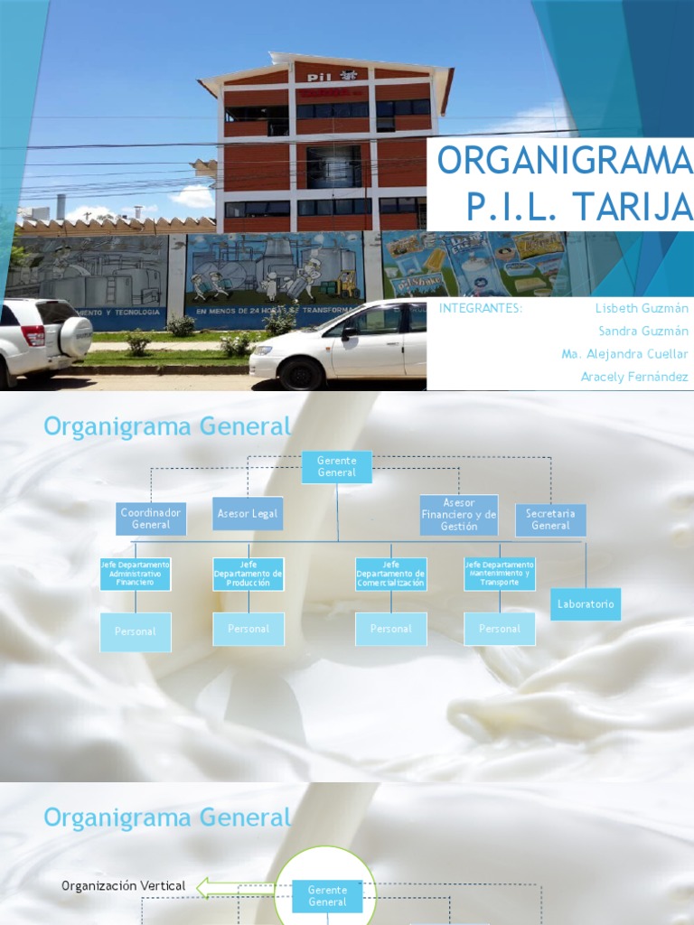 Organigrama Pil | PDF | Marketing | Economias