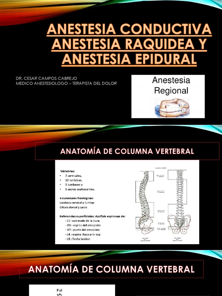 Anestesia Raquídea y Epidural: Guía Completa | PDF