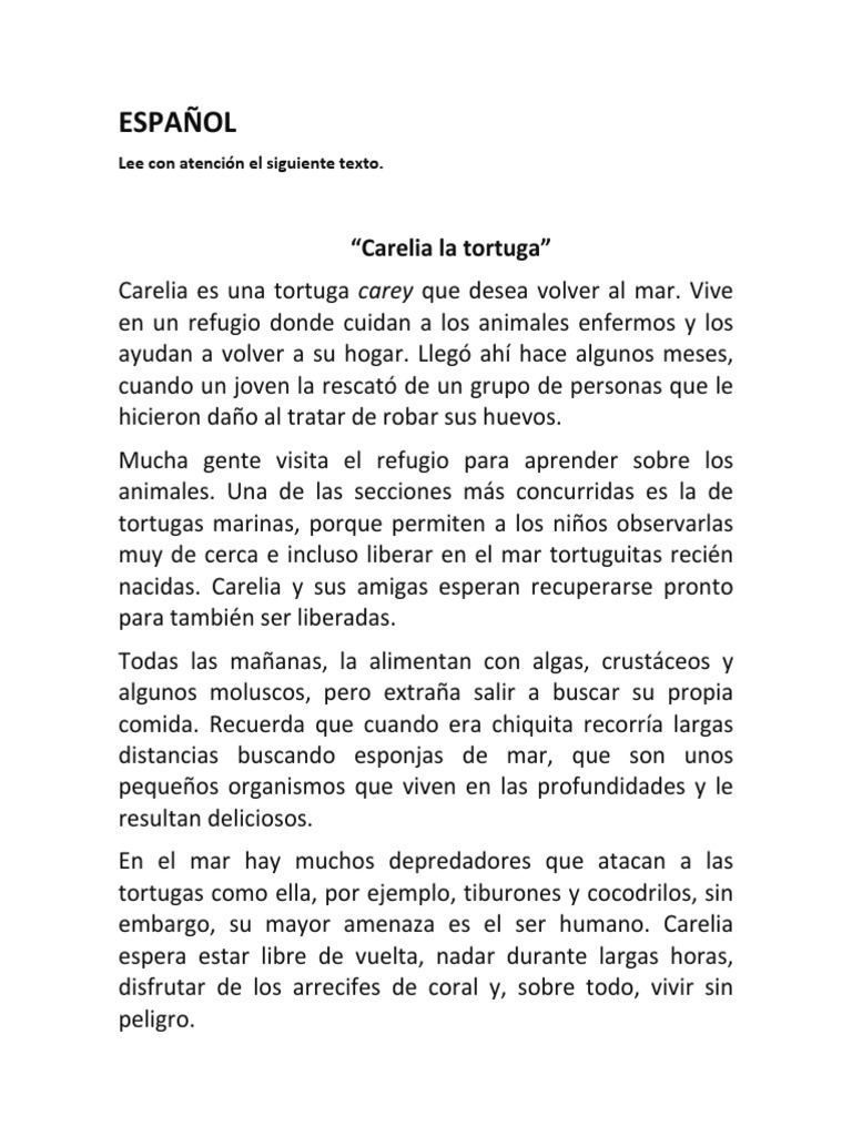 Español: "Carelia La Tortuga" | PDF | Mar