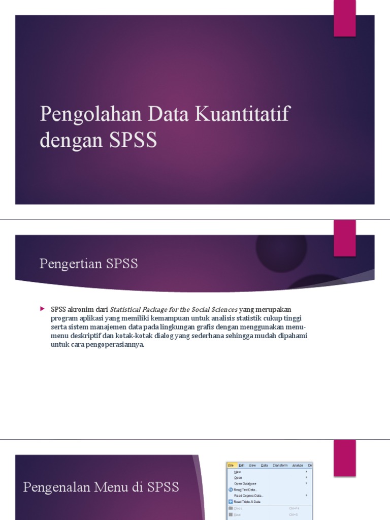 SPSS | PDF