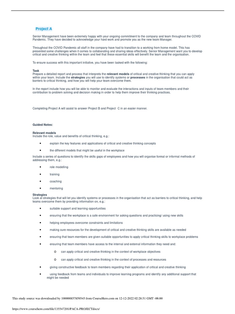 Paca Project | PDF | Creativity | Thought