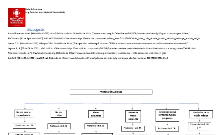 Mapa Conceptual DIH | PDF
