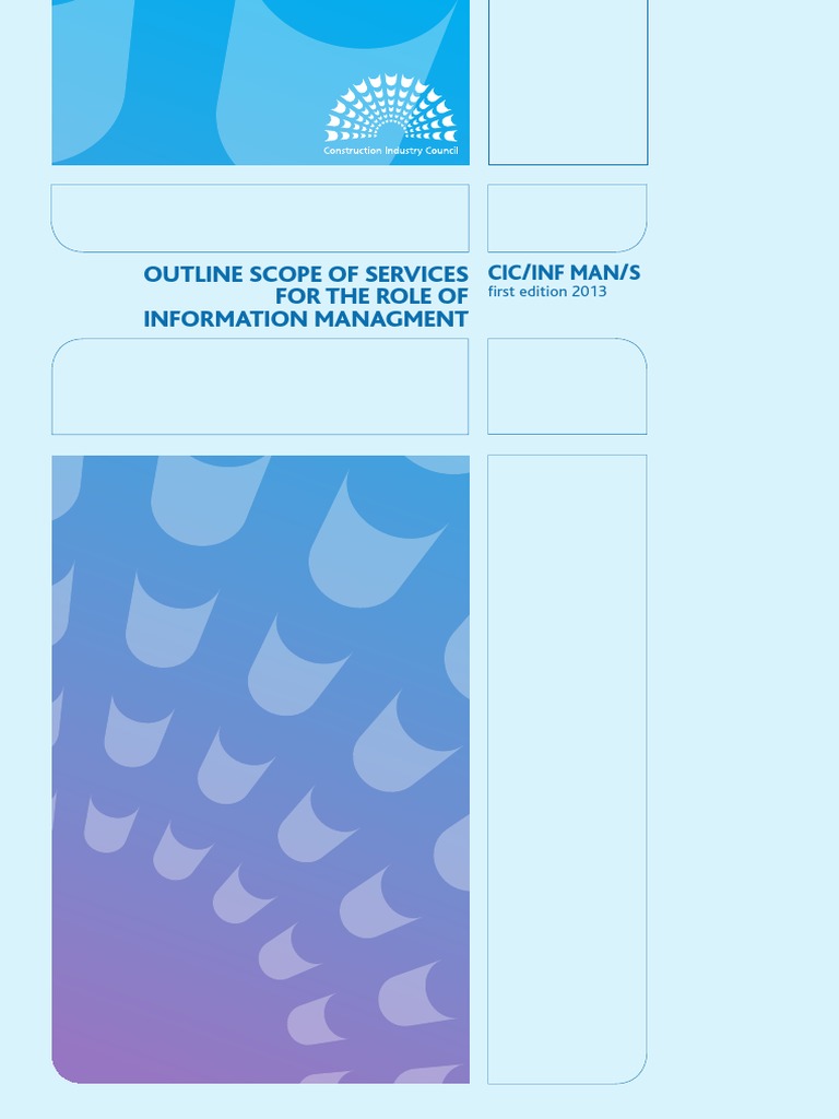 Outline Scope of Services For The Role of Information Managment | PDF ...