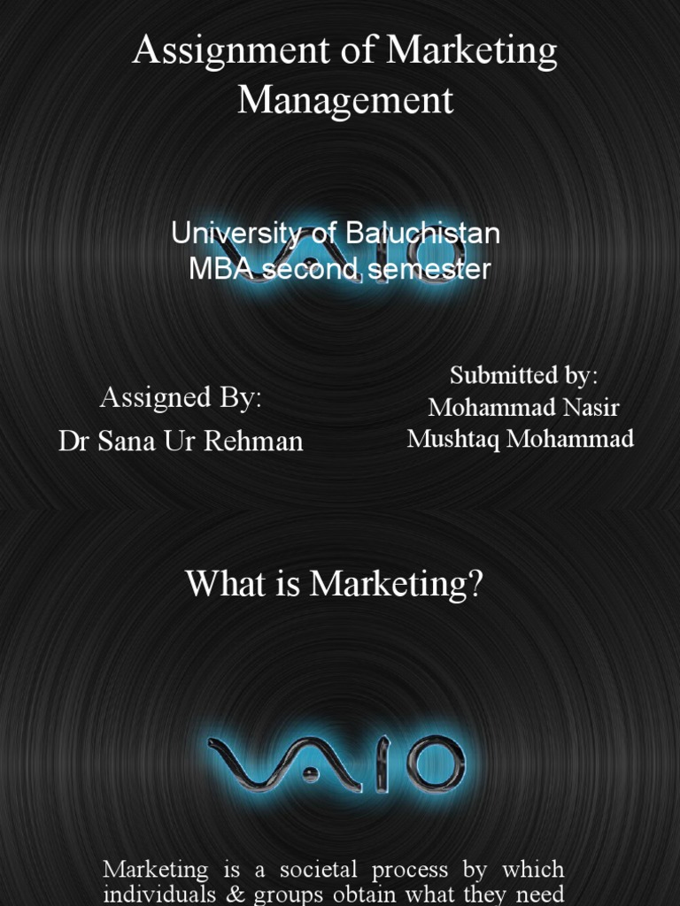 Target Market of Sony | PDF | Sony | Market Segmentation