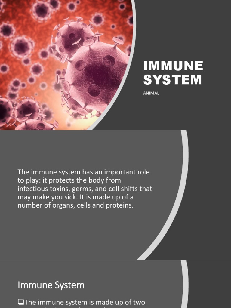 Immune System | PDF | Immune System | Antibody