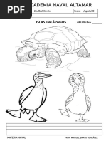 Colorea Los Animales Región Galápagos | PDF