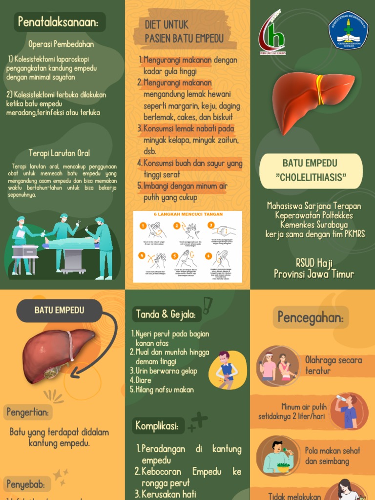 Brosur Batu Empedu | PDF