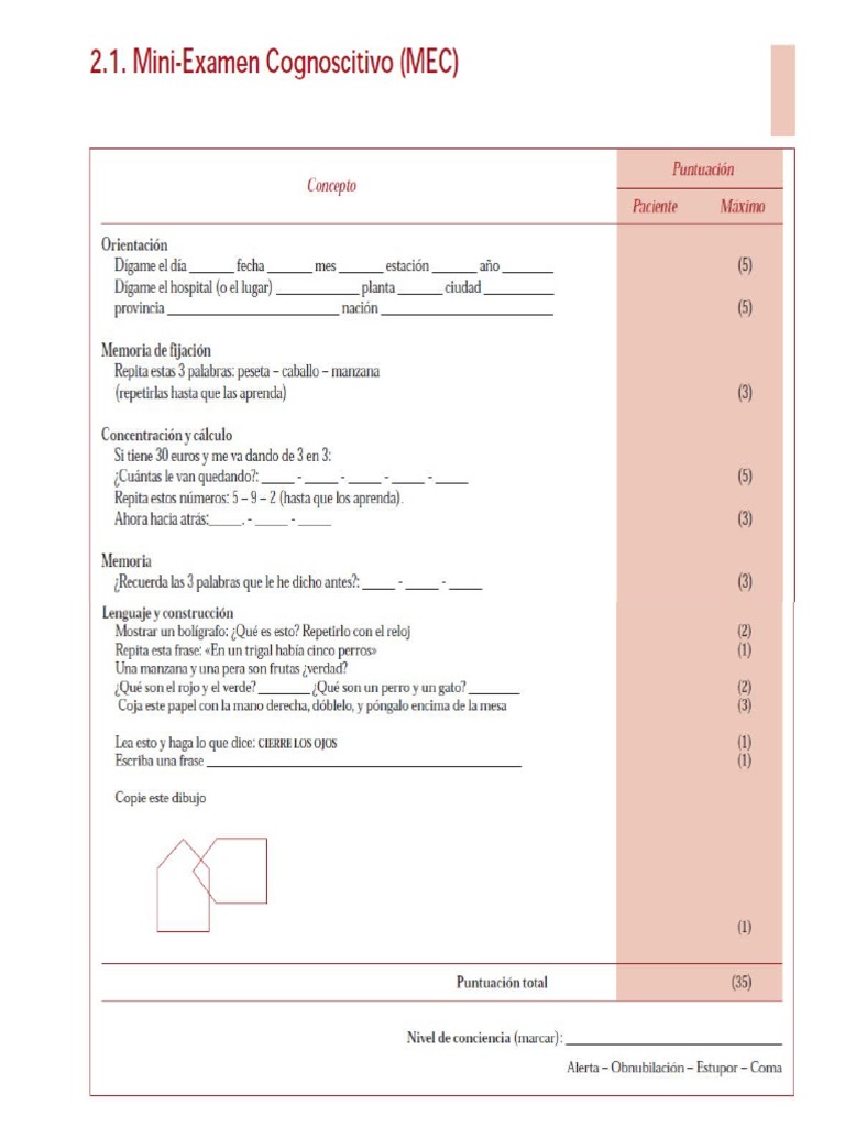 Mini Mental | PDF