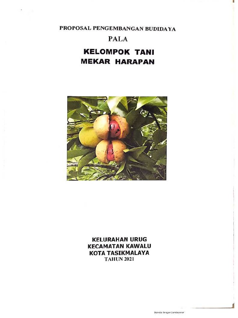Proposal Tanaman Pala | PDF