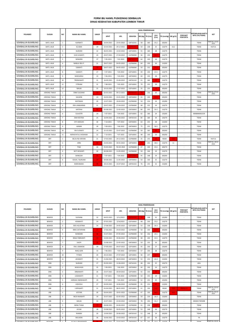 1 Data Bumil PKM Sembalun 2022 | PDF