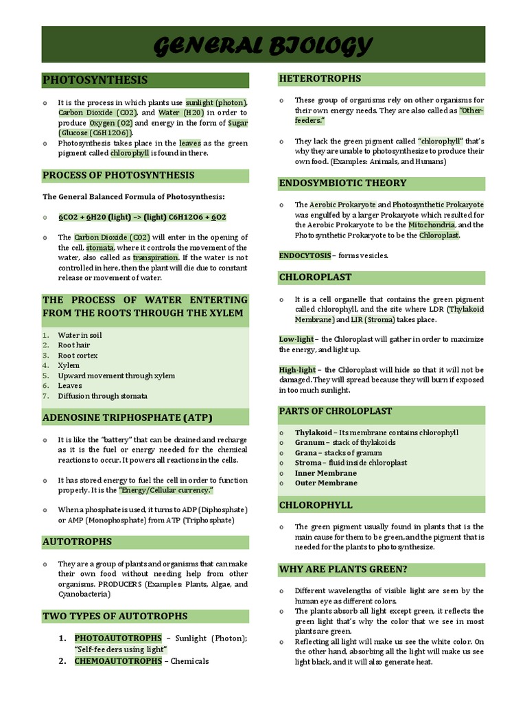 Gen Bio 2nd Quarter (Photosynthesis) | PDF | Photosynthesis | Chloroplast