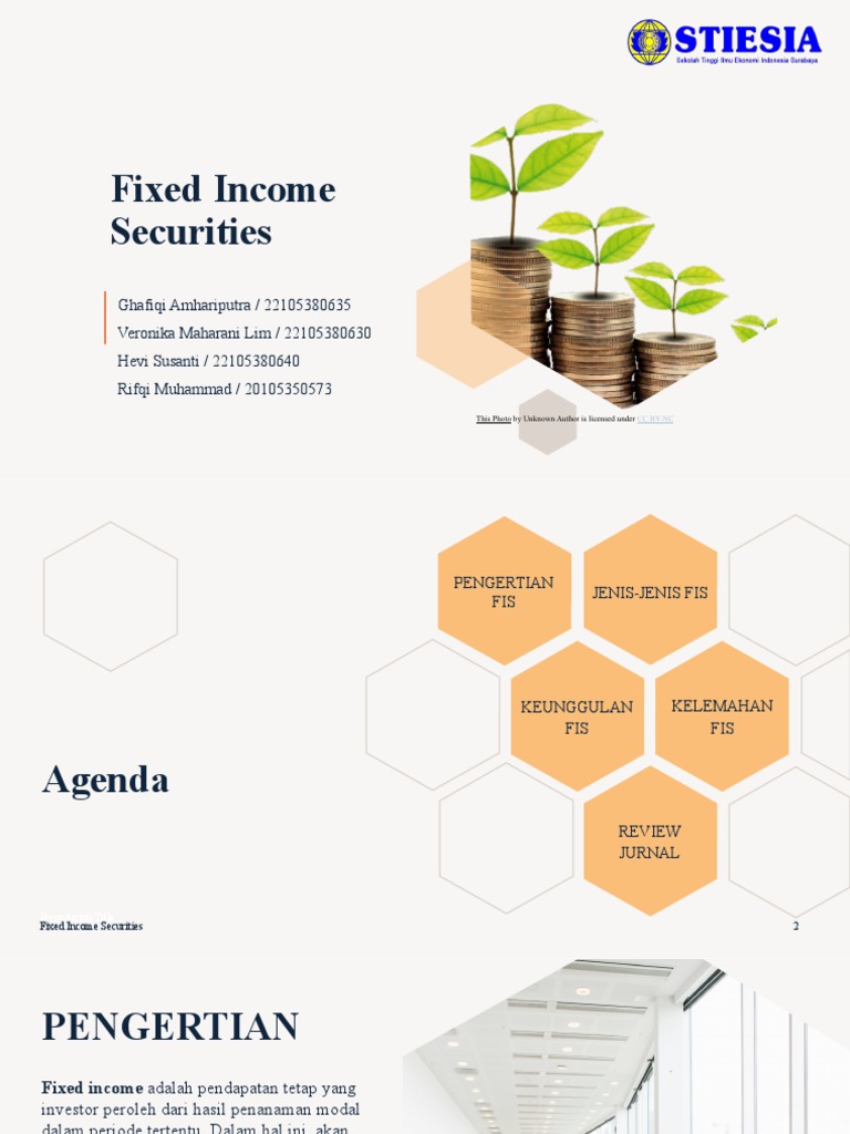 Fixed Income Securities | PDF | Bisnis | Hukum