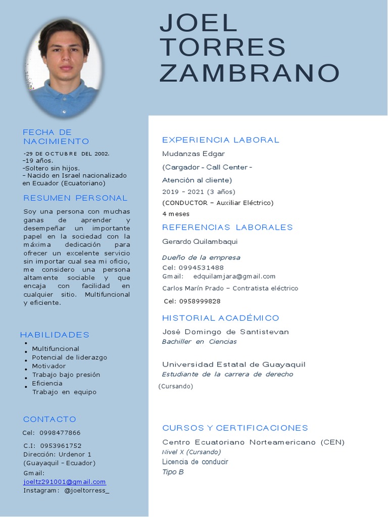 Currículum de Joel Torres Zambrano | PDF