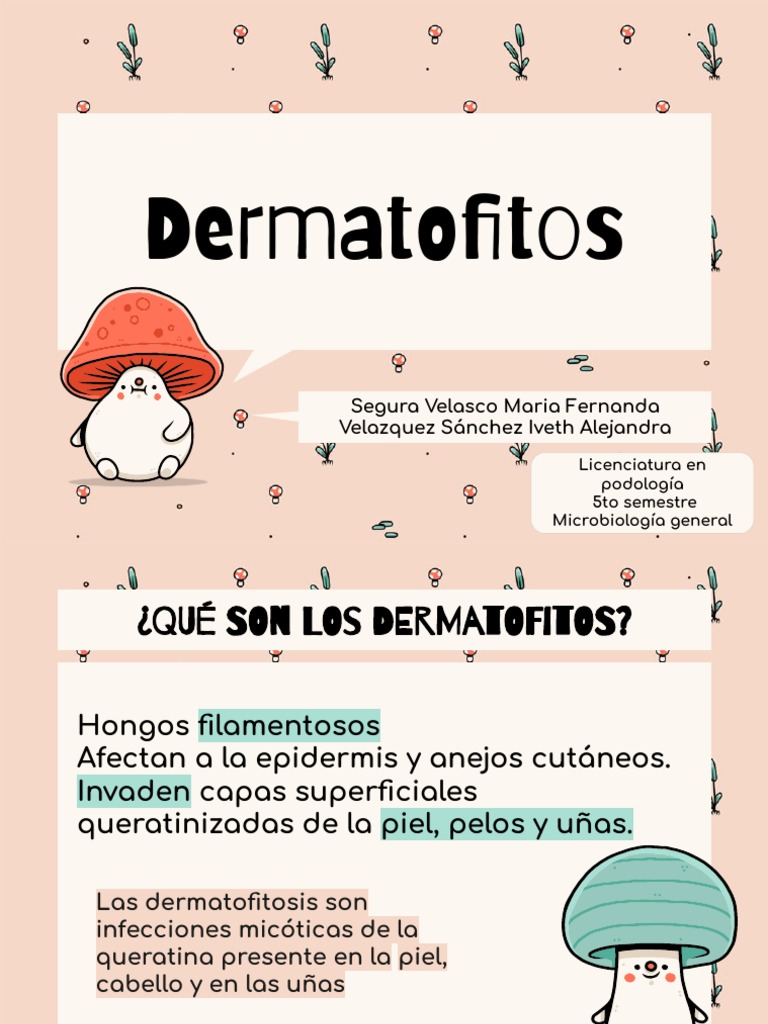 Dermatofitosis: Contagio y Tratamiento | PDF | Piel | Micología