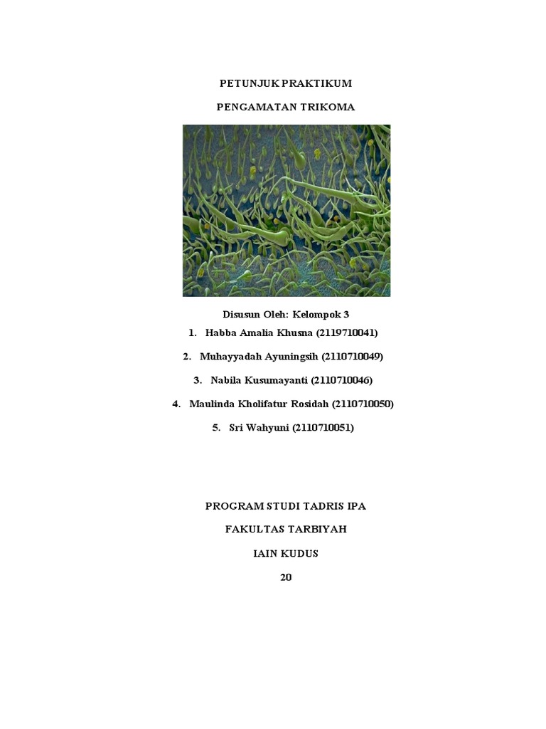 Pengamatan Trikoma pada Daun Tumbuhan | PDF | Sains & Matematika