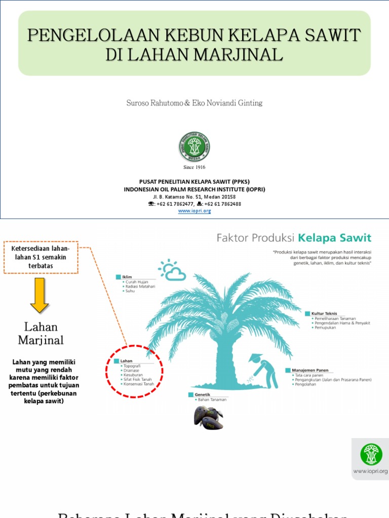 Pengelolaan Kebun Kelapa Sawit Di Lahan Marjinal | PDF Pengelolaan Kebun Kelapa Sawit Di Lahan Marjinal | PDF