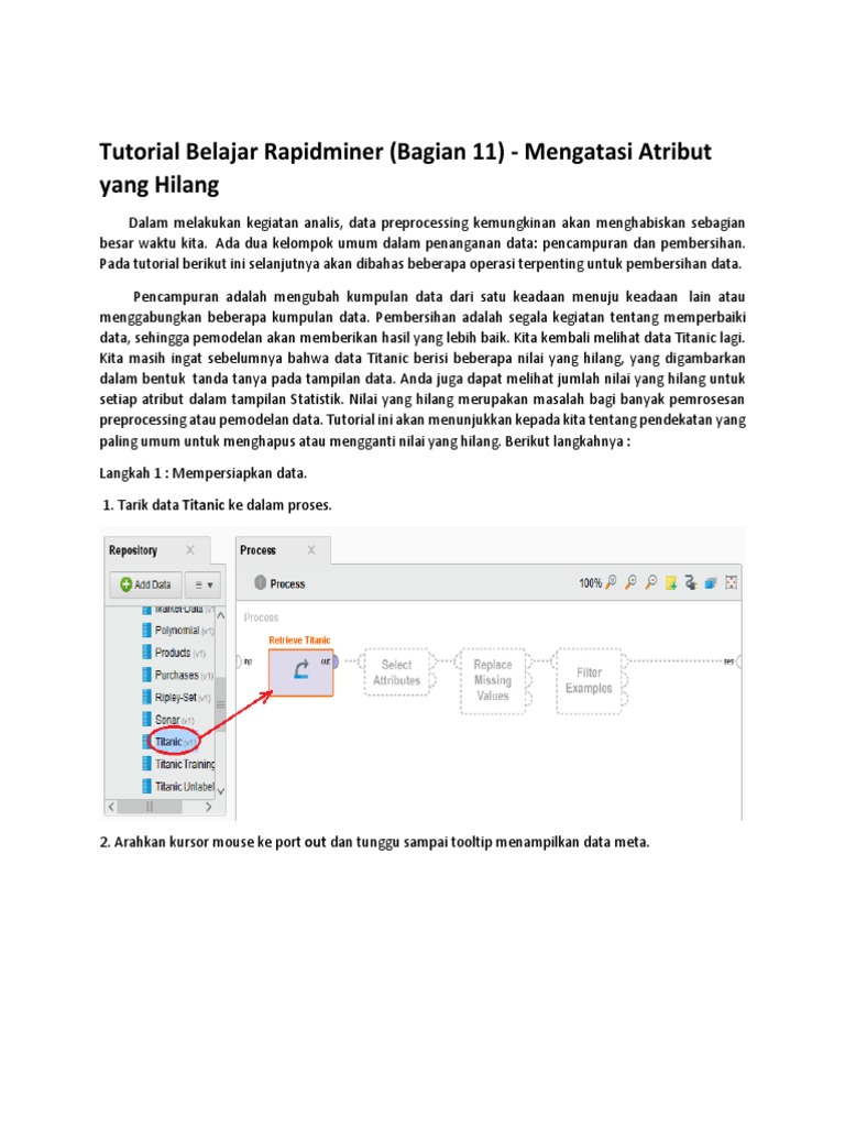 Tutorial Rapidminer 4 Pdf