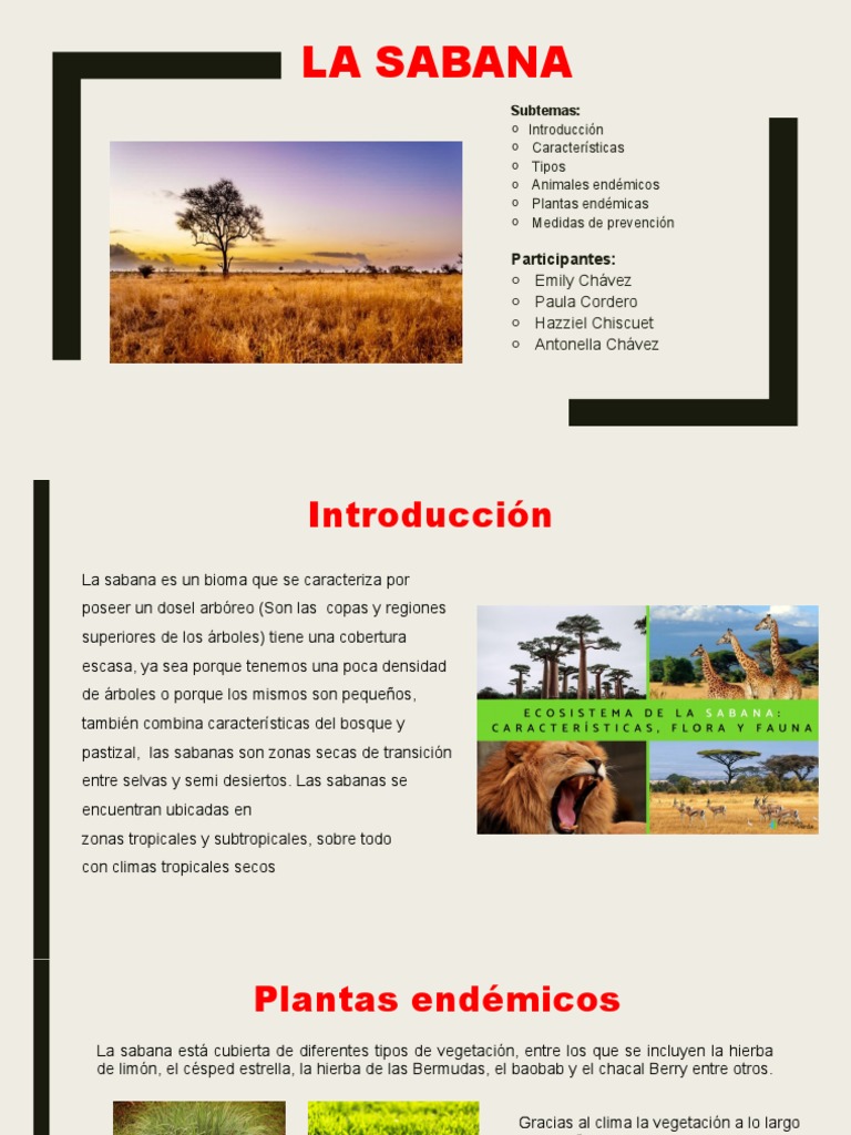 La Sabana Parte 2 | PDF