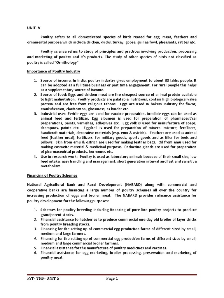 Food Science Unit 5 | PDF | Egg As Food | Egg