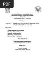 Partes y Funcionamiento del HPLC | PDF | Cromatografía líquida de alto ...