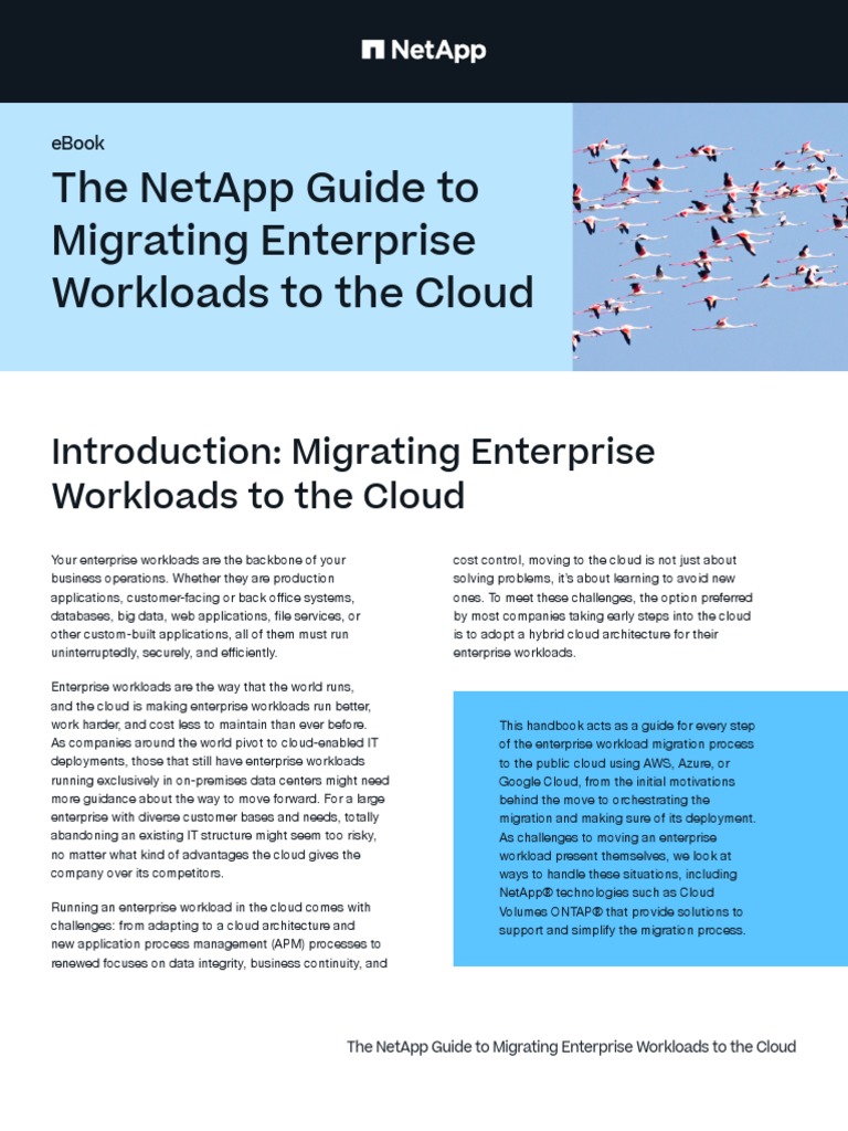 NetApp Guide To Clean Migration | PDF | Cloud Computing | Databases