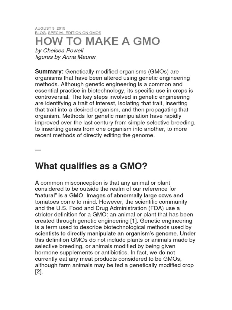 Gmo Steps | Download Free PDF | Genetic Engineering | Genetically ...