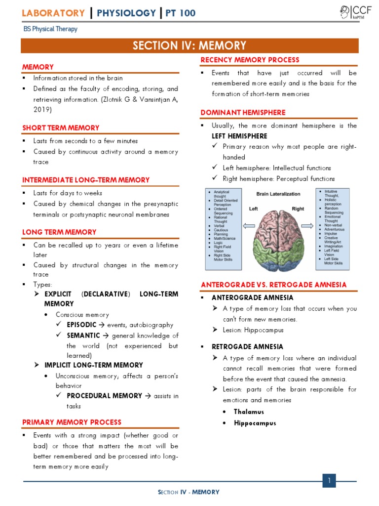 LAB Memory | Download Free PDF | Memory | Long Term Memory