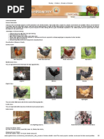 Breeds, Varieties and Strains of Poultry | PDF | Chicken | Poultry