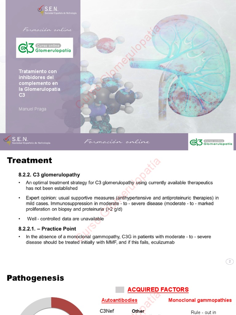 M2 T3 Glom | PDF
