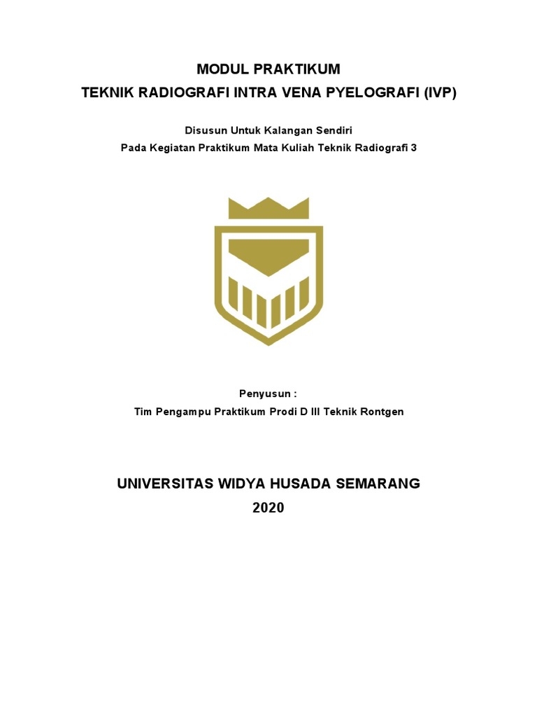 Modul Praktikum Teknik Radiografi Intra Vena Pyelografi (Ivp) | PDF