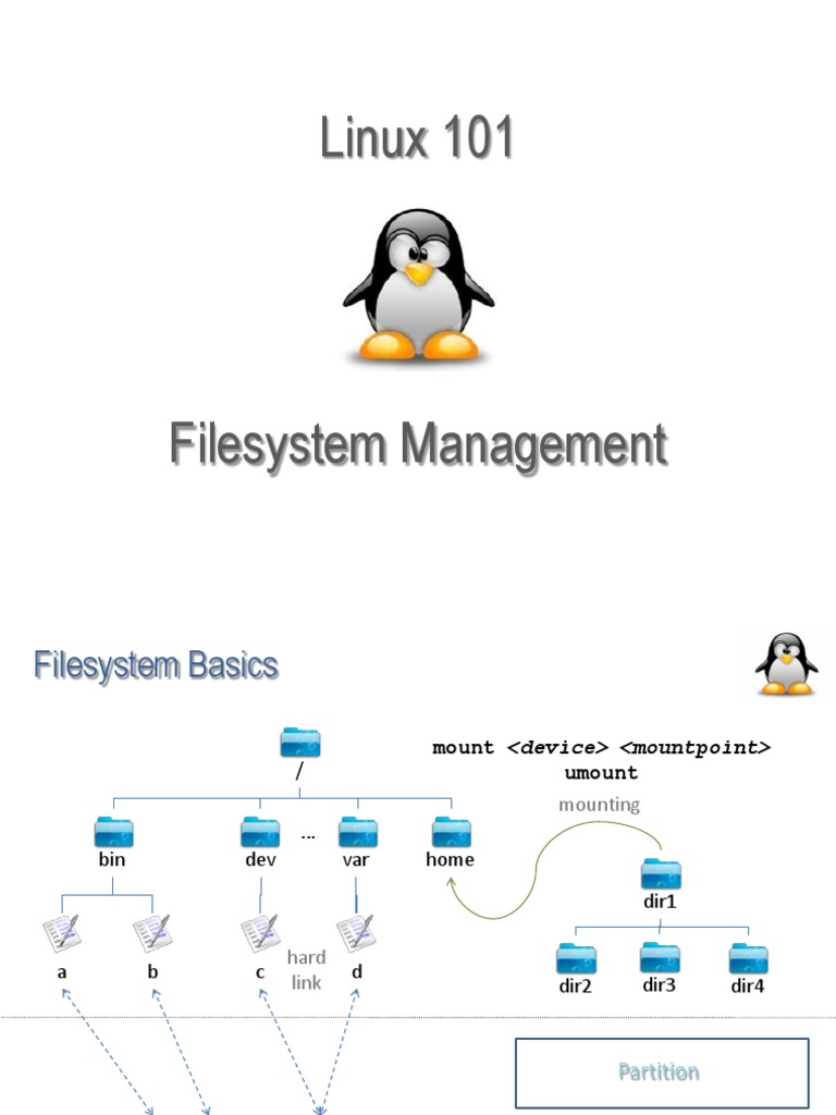Lab07.Filesystem Management | PDF | File System | Computer File