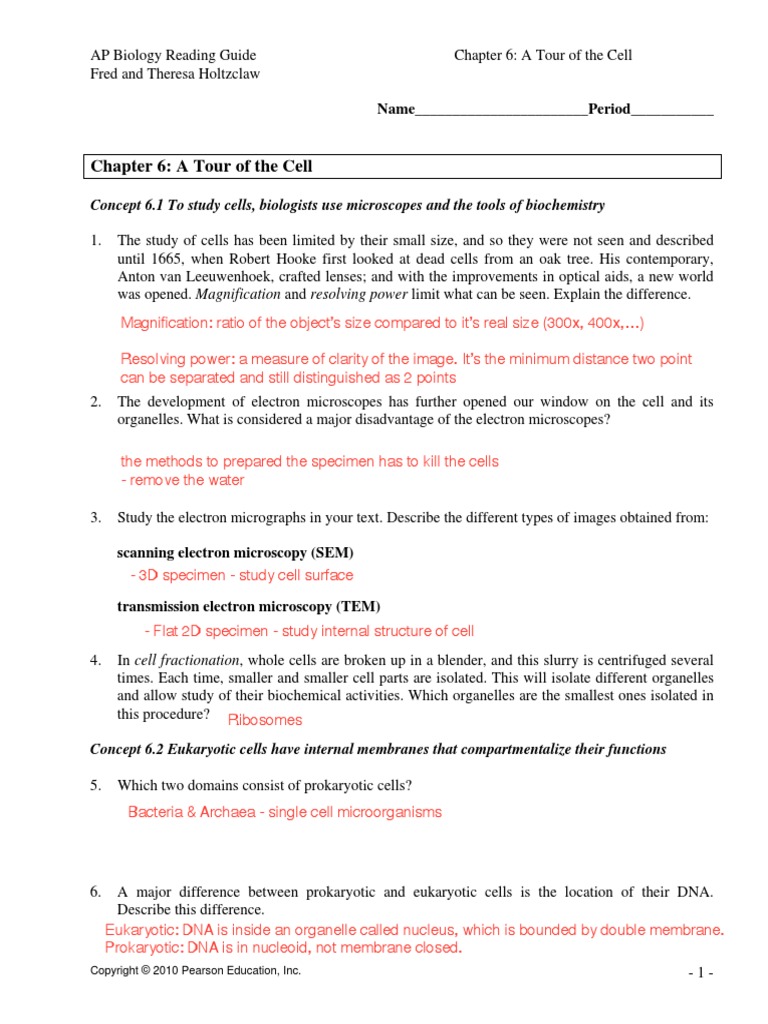 Chapter 6 Tour of The Cell | PDF | Endoplasmic Reticulum | Cell (Biology)