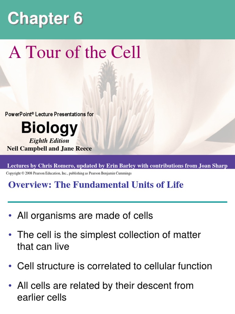 Chapter 6 - Lecture | PDF Chapter 6 - Lecture | PDF