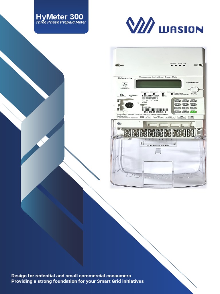 Wasion Prepaid Meter User Manual | PDF | Voltage | Electromagnetism