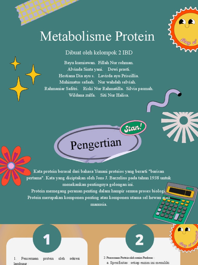 Metabolisme Protein dan Siklus Urea | PDF