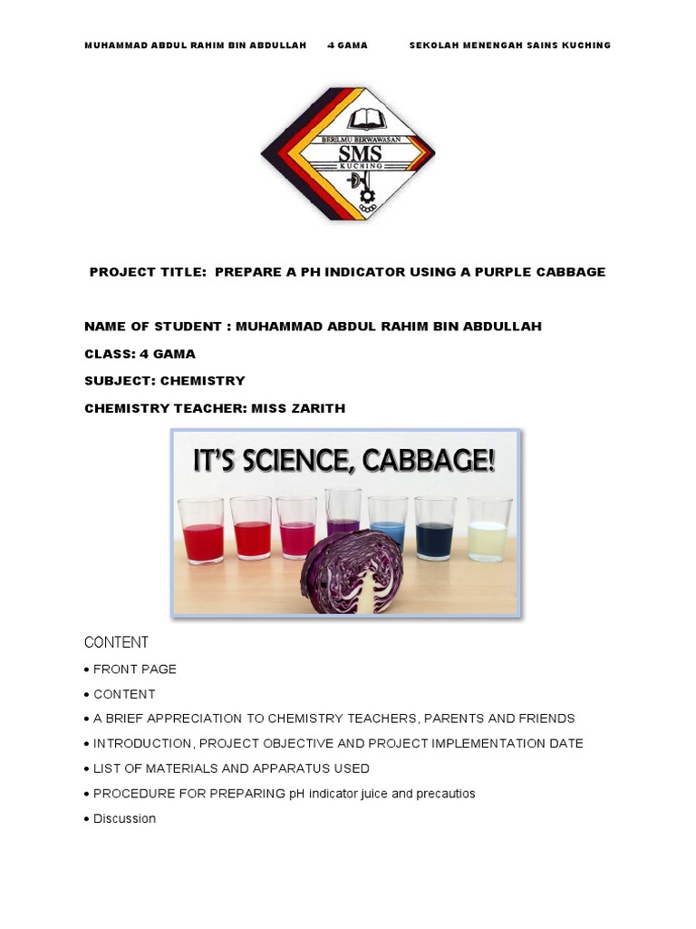 PH Purple Cabbage As PH Indicator | PDF