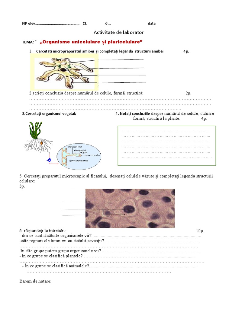 Lucr. de Laborator 2 | PDF