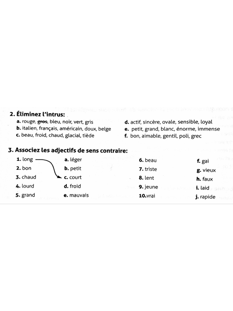 Exercices-Le Féminin de L'adjectif Qualificatif | PDF